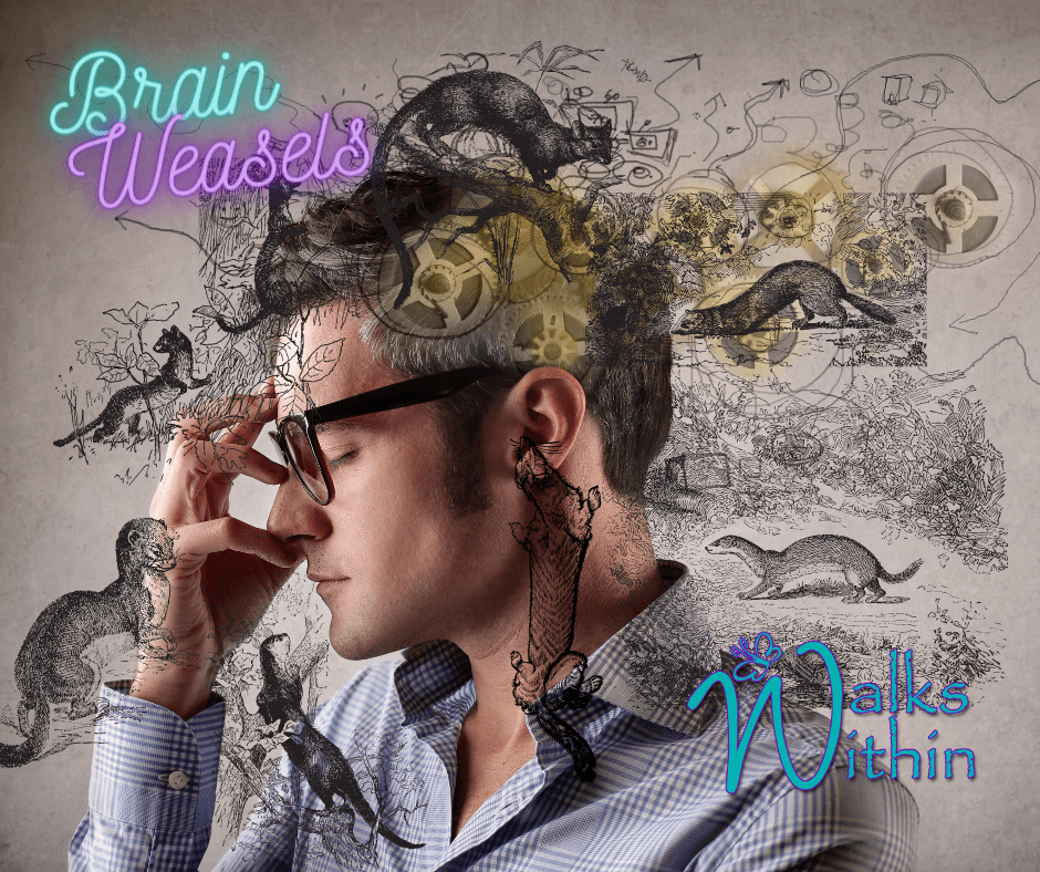 Attack of the Brain Weasels | Walks Within Guided Meditations